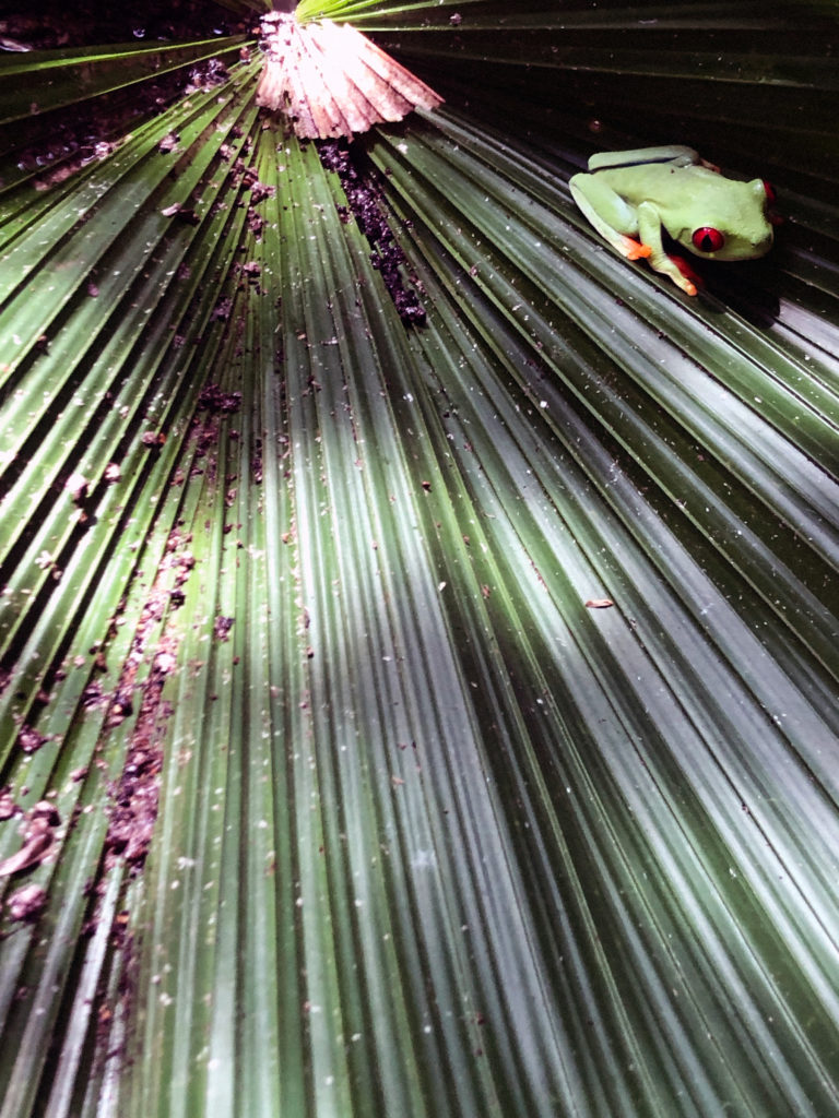 COSTA RICA - SHORE THANG